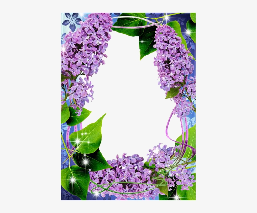 Lilac Transparent Png - Lilac Frame PNG Image | Transparent PNG Free ...