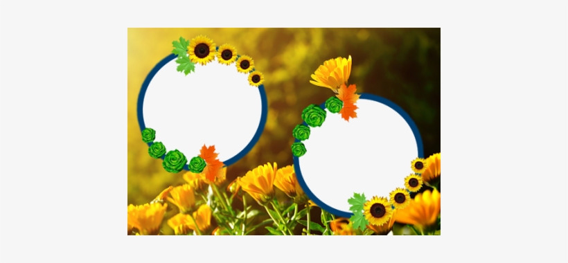 Dual Flower Photo Frames - Dual Frame Png PNG Image | Transparent PNG ...