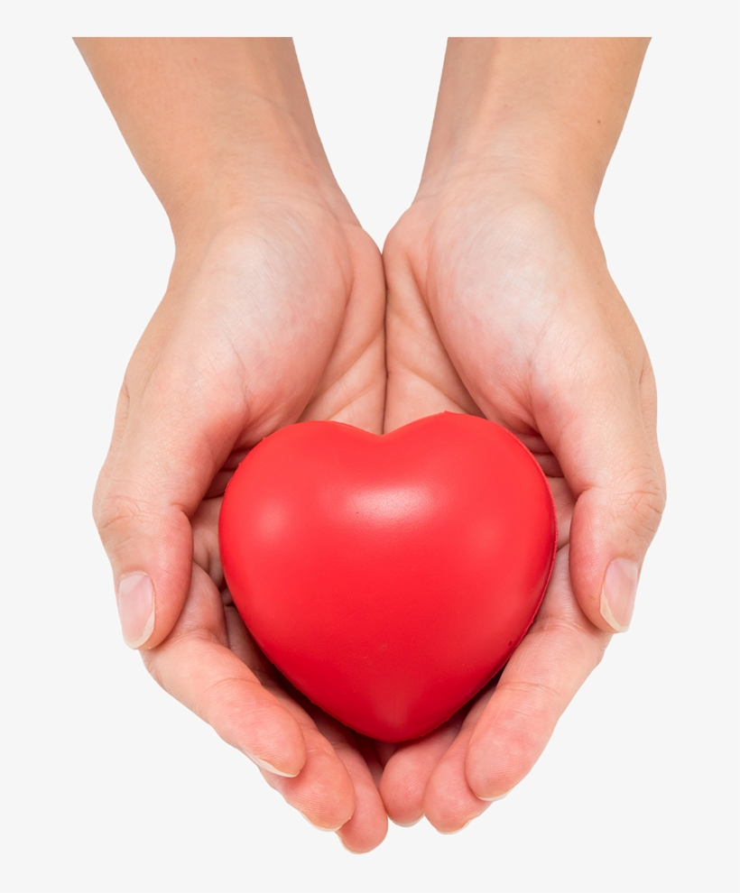 Download Hands And Heart | Transparent PNG Download | SeekPNG