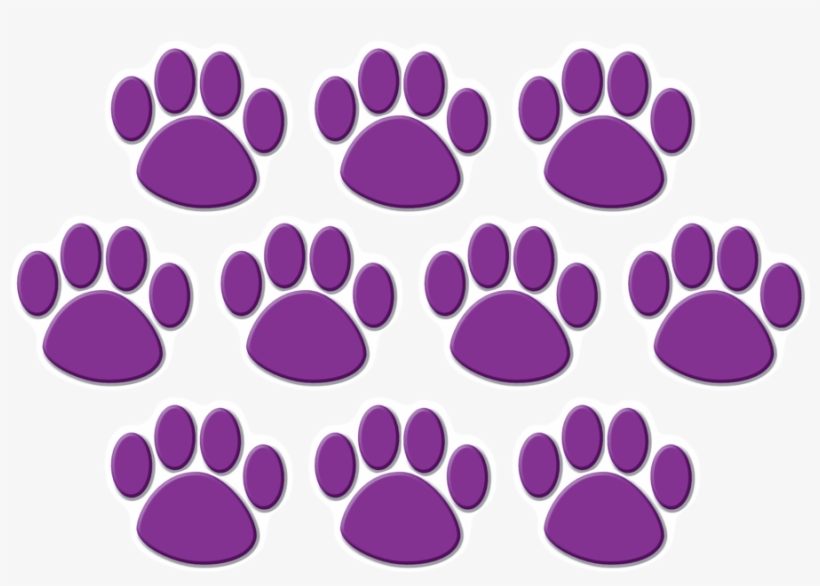Purple Paw Prints Accents Tcr4646 Teacher Created - Orange Paw Prints ...