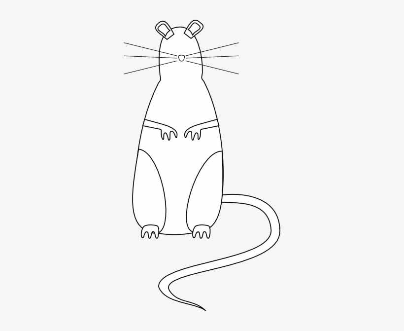 Original Png Clip Art File Rat Outline Svg Images Downloading PNG Image ...