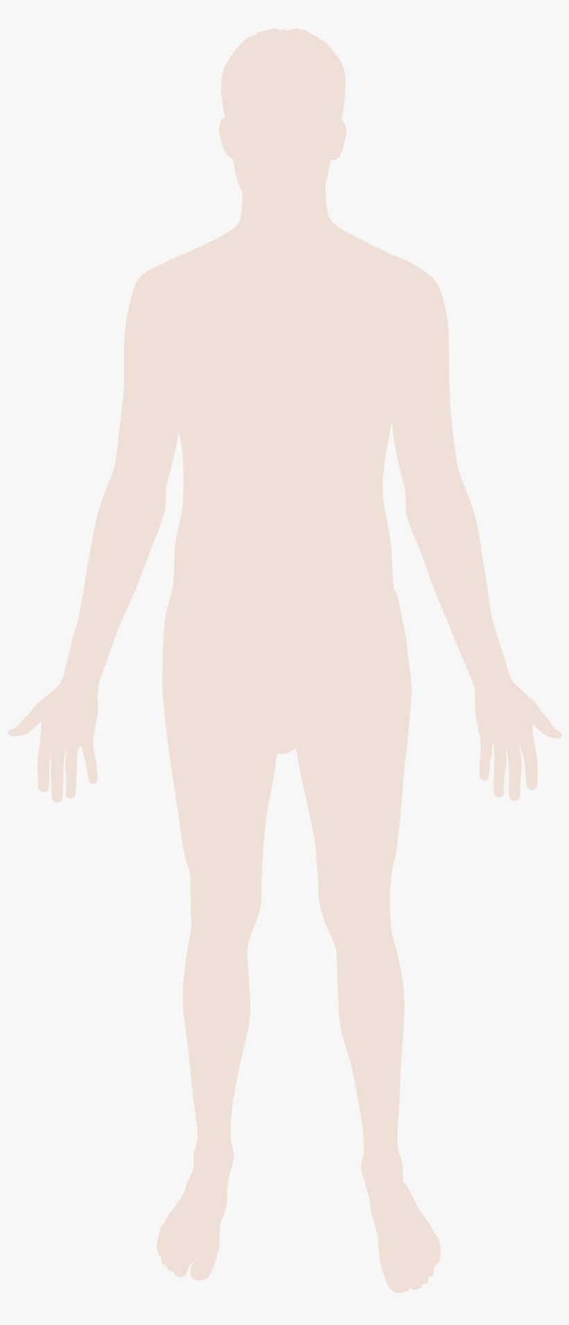 Download Human Body Silhouette - Transparent Background Body Png ...