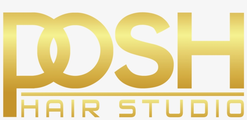 Posh Hair Studio Posh Hair Studio - Graphic Design PNG Image ...