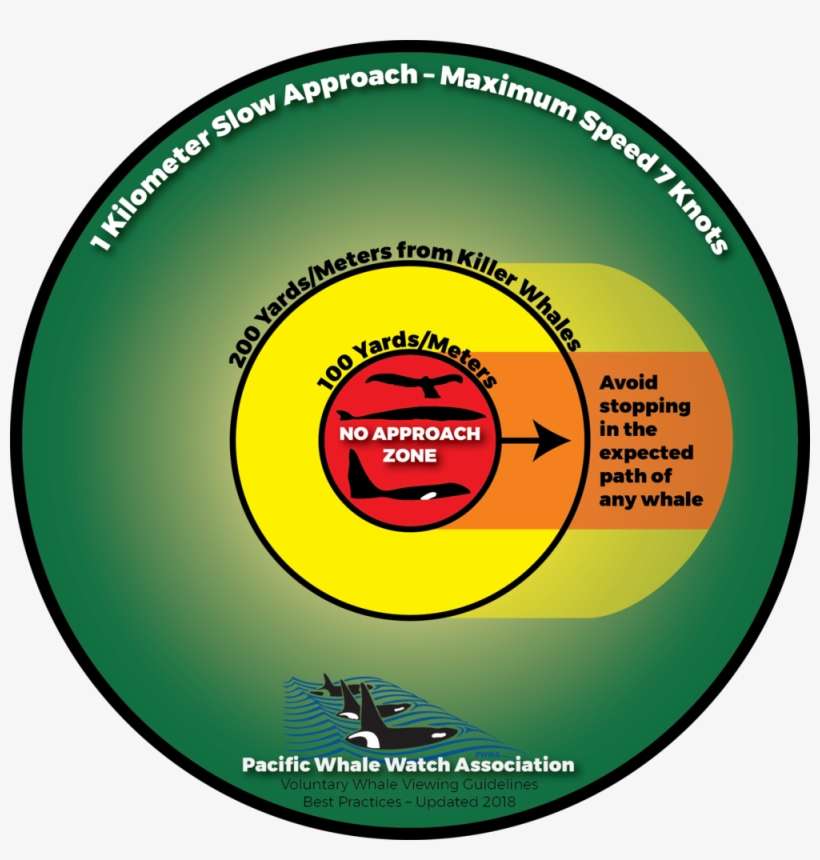 Pwwa Viewing Guidelines All Kw - Portable Network Graphics PNG Image ...