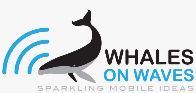 Sentences About Whale PNG Image | Transparent PNG Free Download on SeekPNG