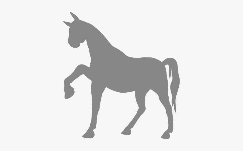 Horse Hoof - Horse PNG Image | Transparent PNG Free Download on SeekPNG