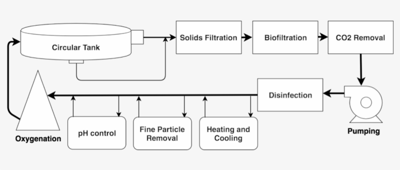 Download Recirculating Aquaculture System Flow Chart - Recirculating ...