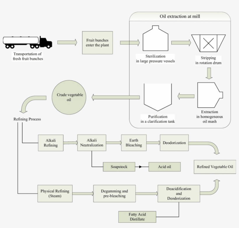 Full Processing Flow Chart For A General Vegetable - Refining PNG Image ...