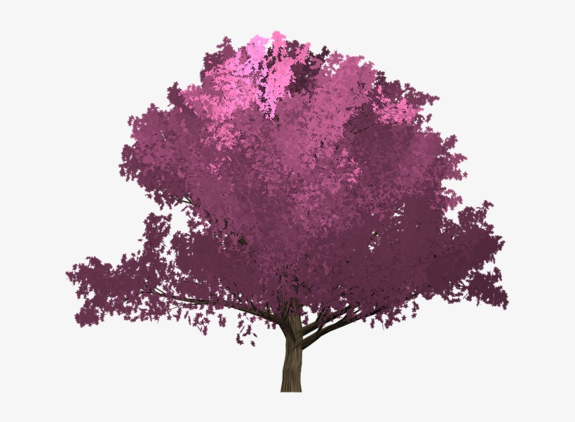 Arbol Rosa Png - Illustration PNG Image | Transparent PNG Free Download ...