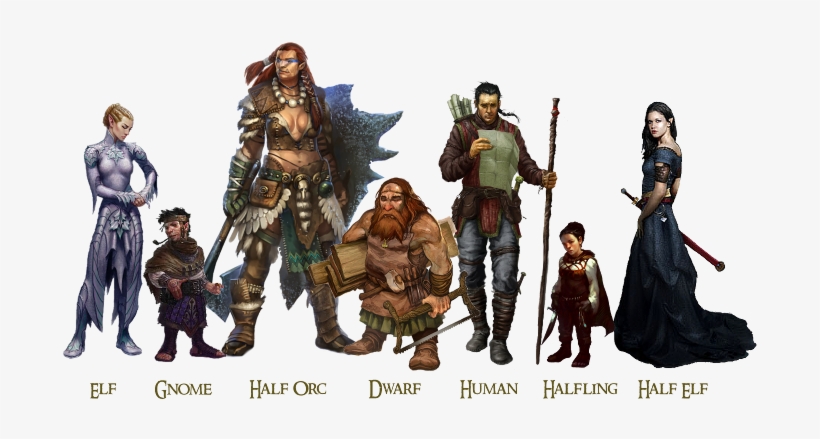Humans Elves And Dwarves PNG Image | Transparent PNG Free Download on ...
