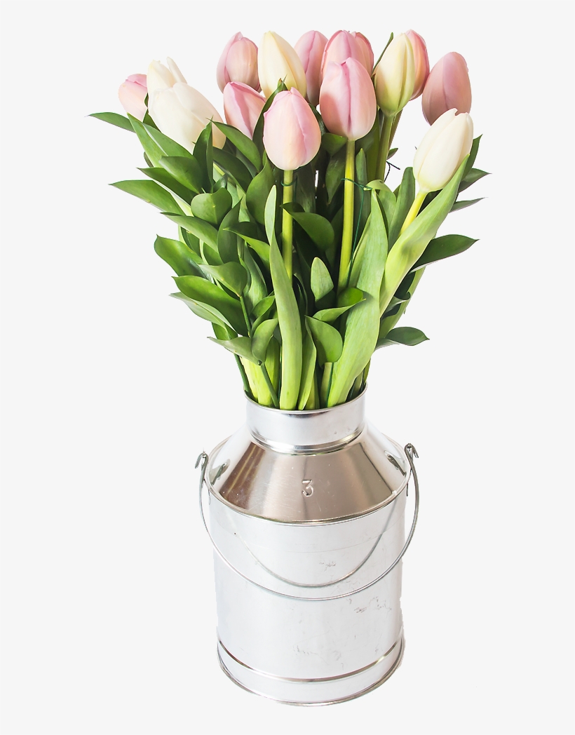 Obsession - Flower PNG Image | Transparent PNG Free Download on SeekPNG