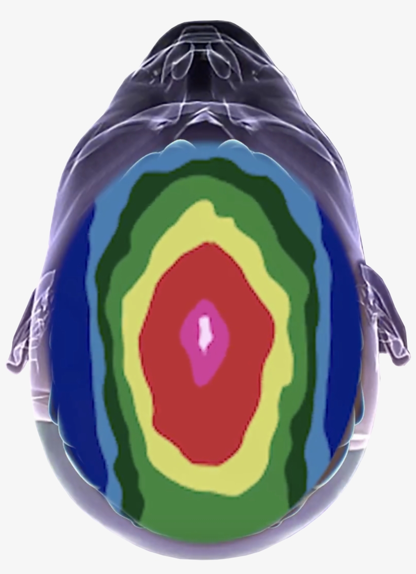 Coherent Brain Wave Pattern - Hemi Sync PNG Image | Transparent PNG ...