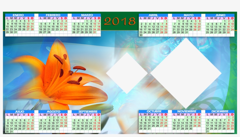 Year PNG Image | Transparent PNG Free Download on SeekPNG