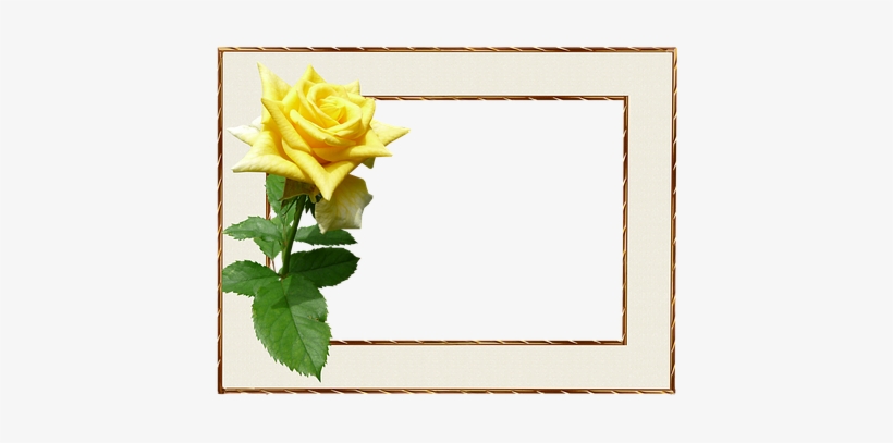 Flower Margin PNG Image | Transparent PNG Free Download on SeekPNG