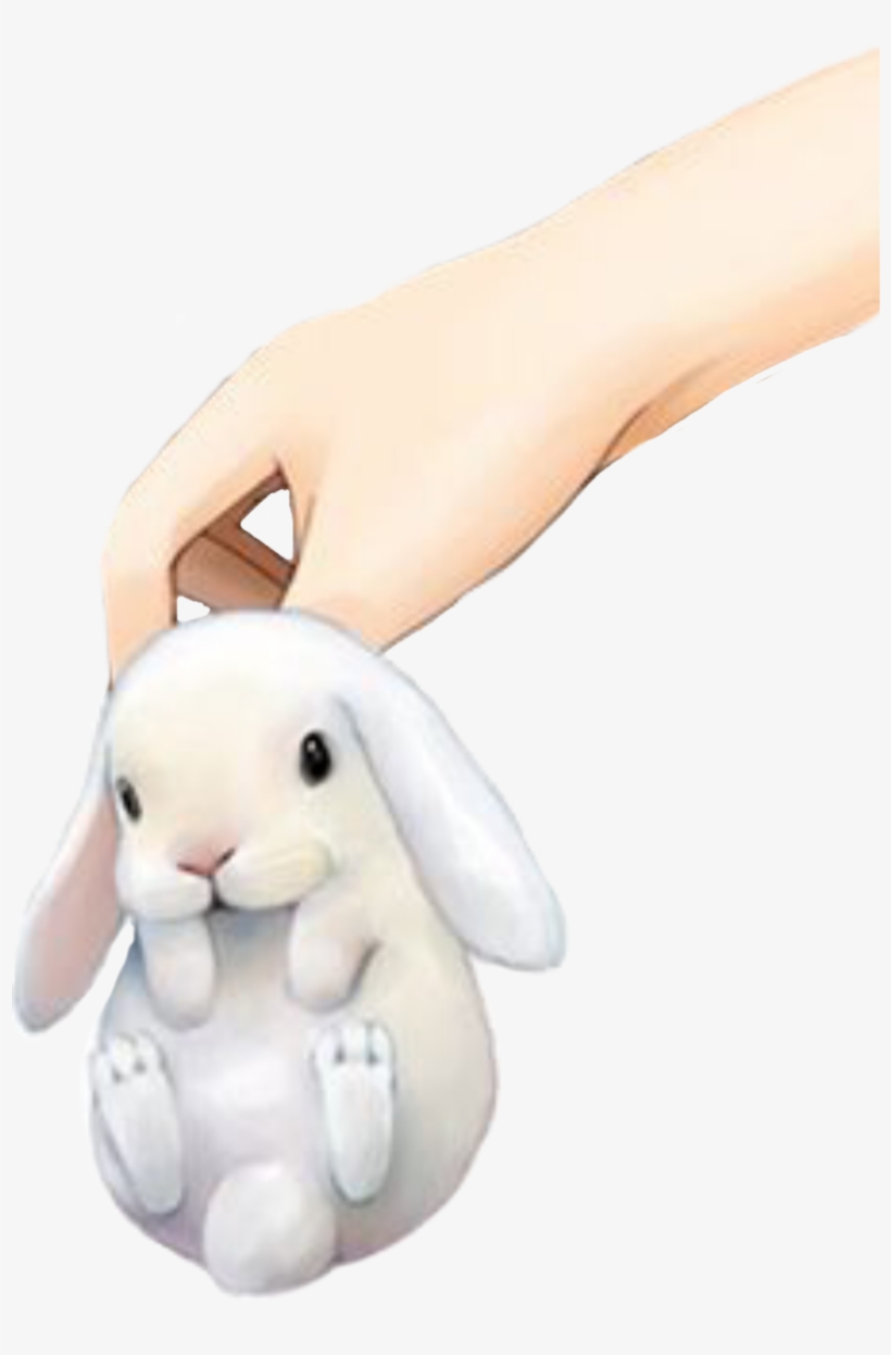 Bunny Baby Rabbit Hand Freetoedit - T-shirt PNG Image | Transparent PNG ...