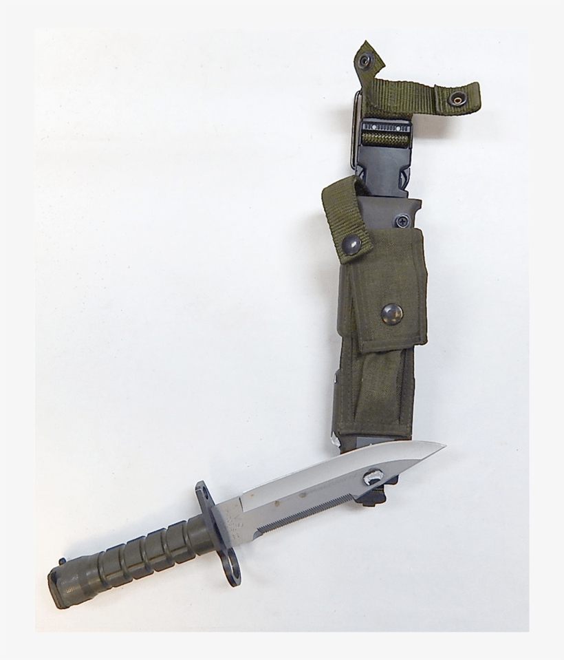 Scabbard PNG Image | Transparent PNG Free Download on SeekPNG