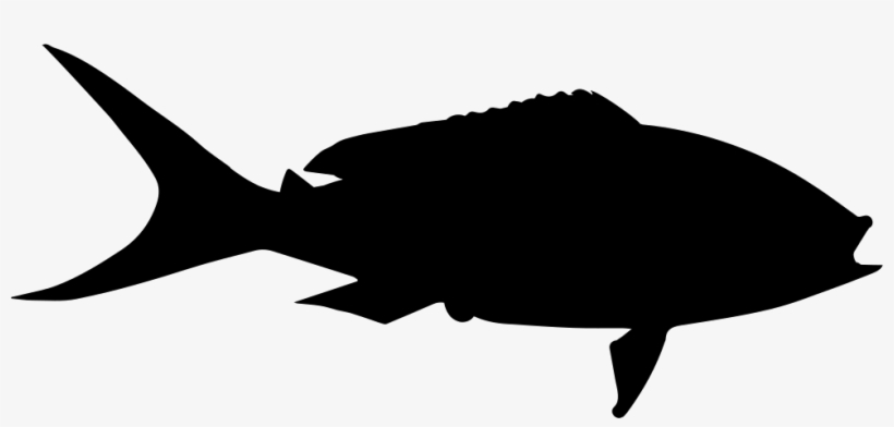 Download Png File - Fish Shape Png | Transparent PNG Download | SeekPNG