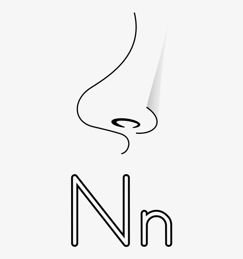 Letter Nn For Nose Coloring PNG Image | Transparent PNG Free Download on SeekPNG