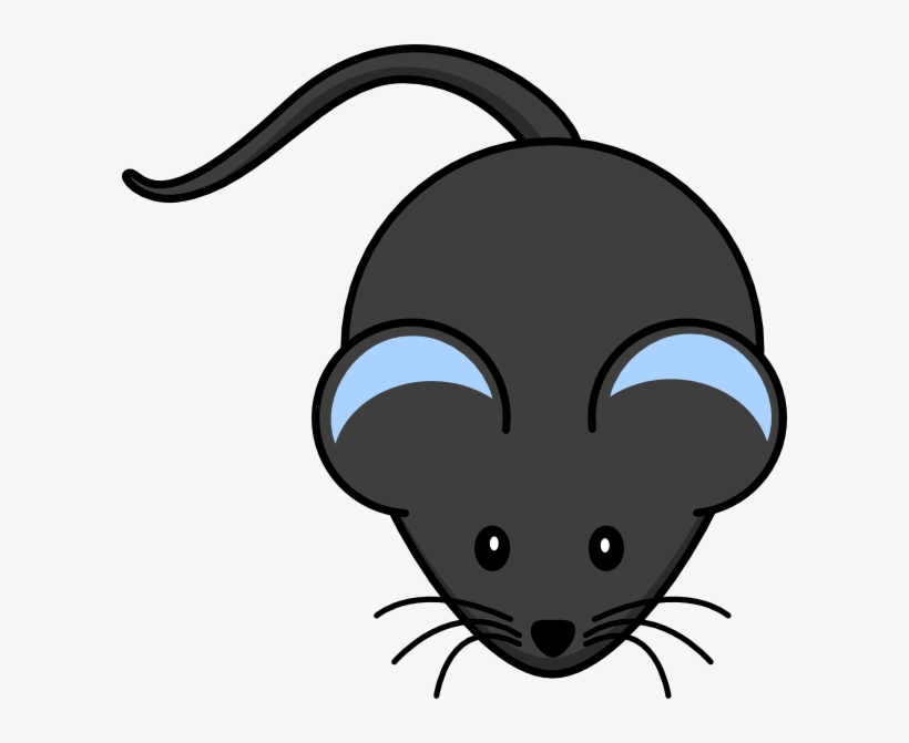 Cute Rat Clipart PNG Image | Transparent PNG Free Download on SeekPNG