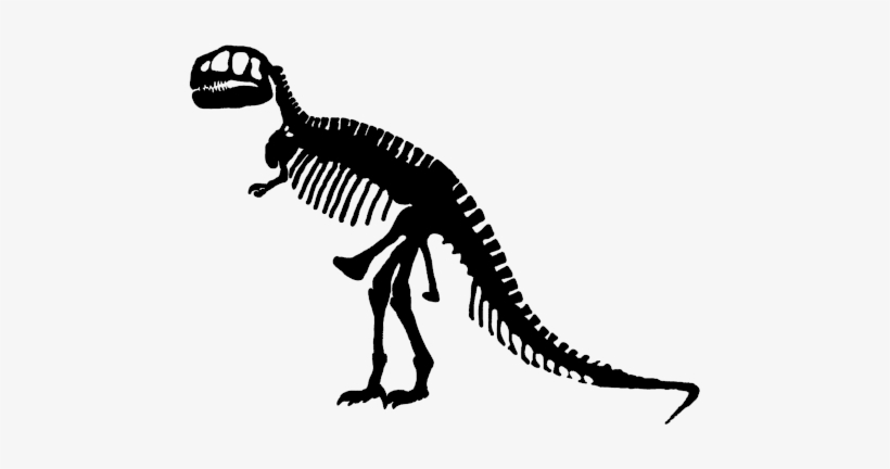 Tyrannosaurus Rex Skeleton By Steph J - Tyrannosaurus Rex Postkarte PNG ...