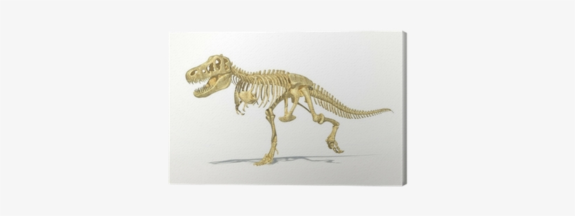T Rex Dinosaur Full Skeleton, Photo Realistic, Scientifically - T Rex ...