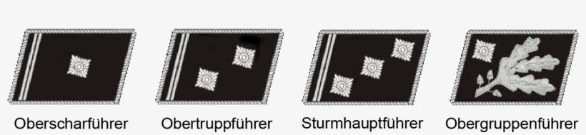 Download The Transitional Ss Ranks Of - Uniforms And Insignia Of The ...