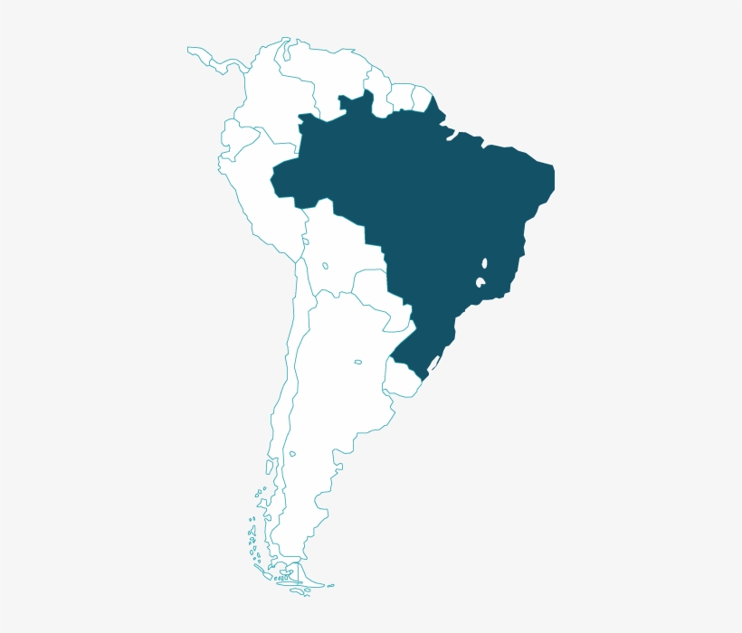Download Map Brasil - Brazil Map | Transparent PNG Download | SeekPNG