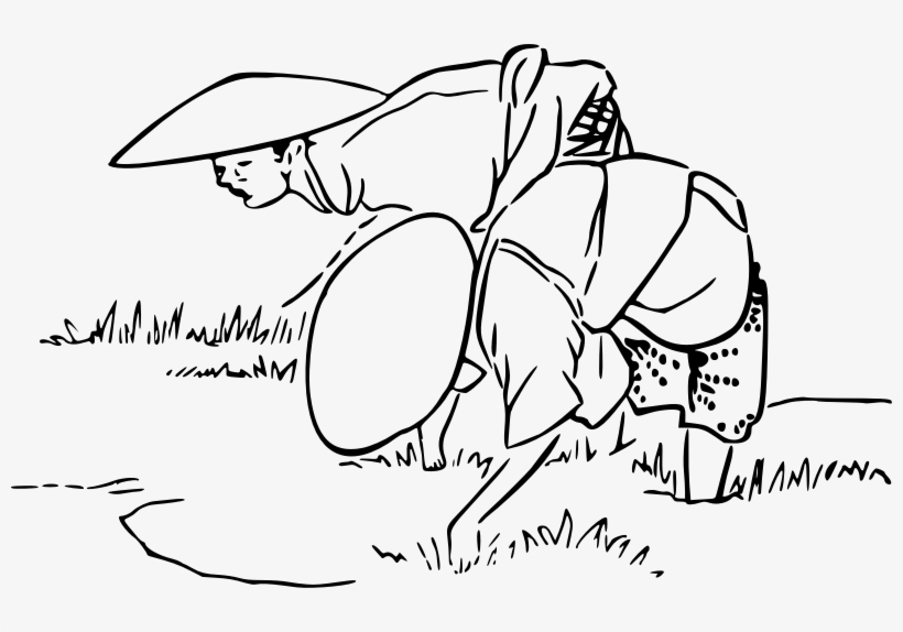 Medium Image - Paddy Field In Clipart PNG Image | Transparent PNG Free ...