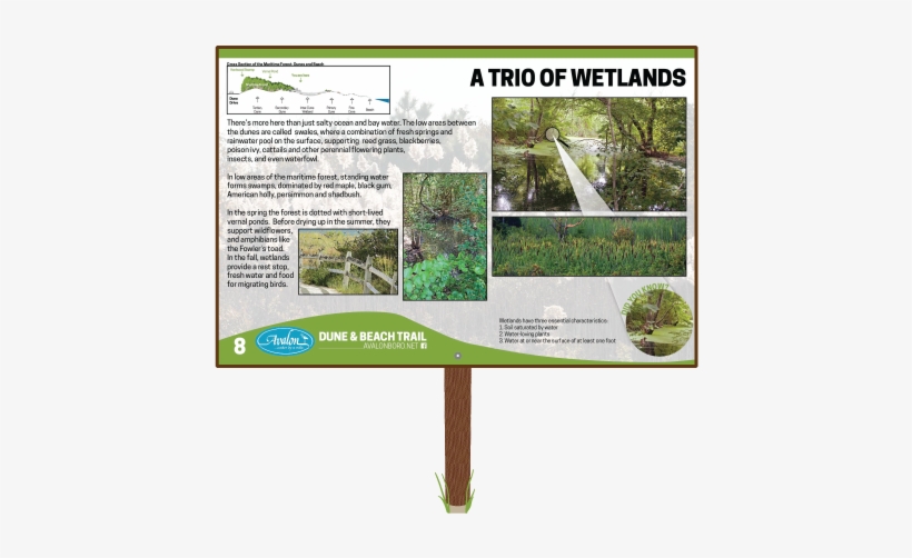 A Trio Of Wetlands Sign - Wetland PNG Image | Transparent PNG Free ...