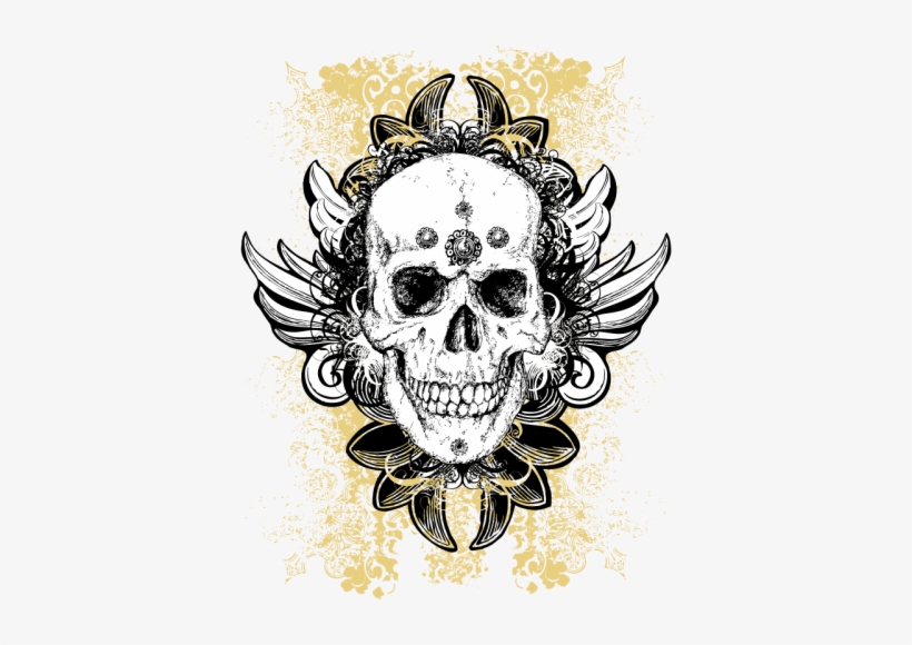Skull Vector PNG Image | Transparent PNG Free Download on SeekPNG