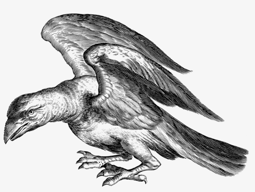 Corvus - Ancient Greek Mythology Vulture PNG Image | Transparent PNG ...