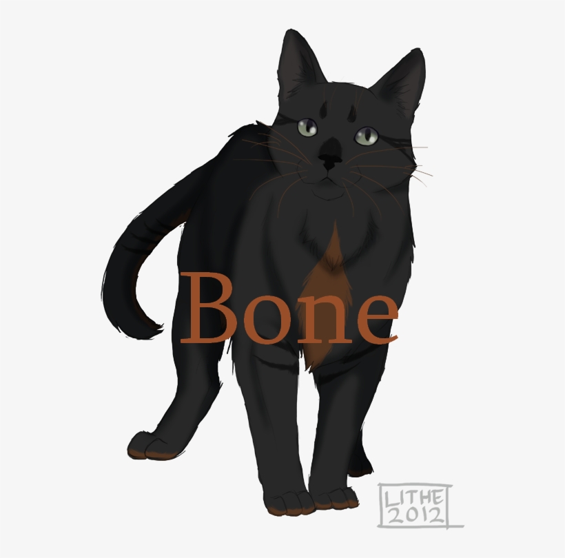 Download Bone - Deviantart | Transparent PNG Download | SeekPNG