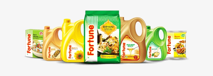 Fortune Re Positioned Itself As A Brand That Thrives - Fortune Biryani ...