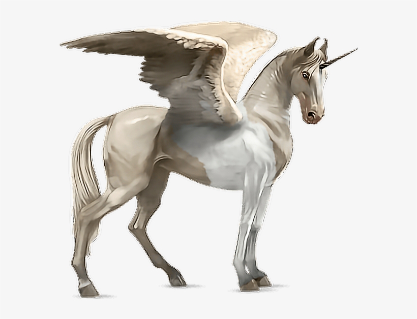 Horse Alado Aladus Cavalo Asas Wings Mikah014 - Howrse Akhal Teke PNG ...