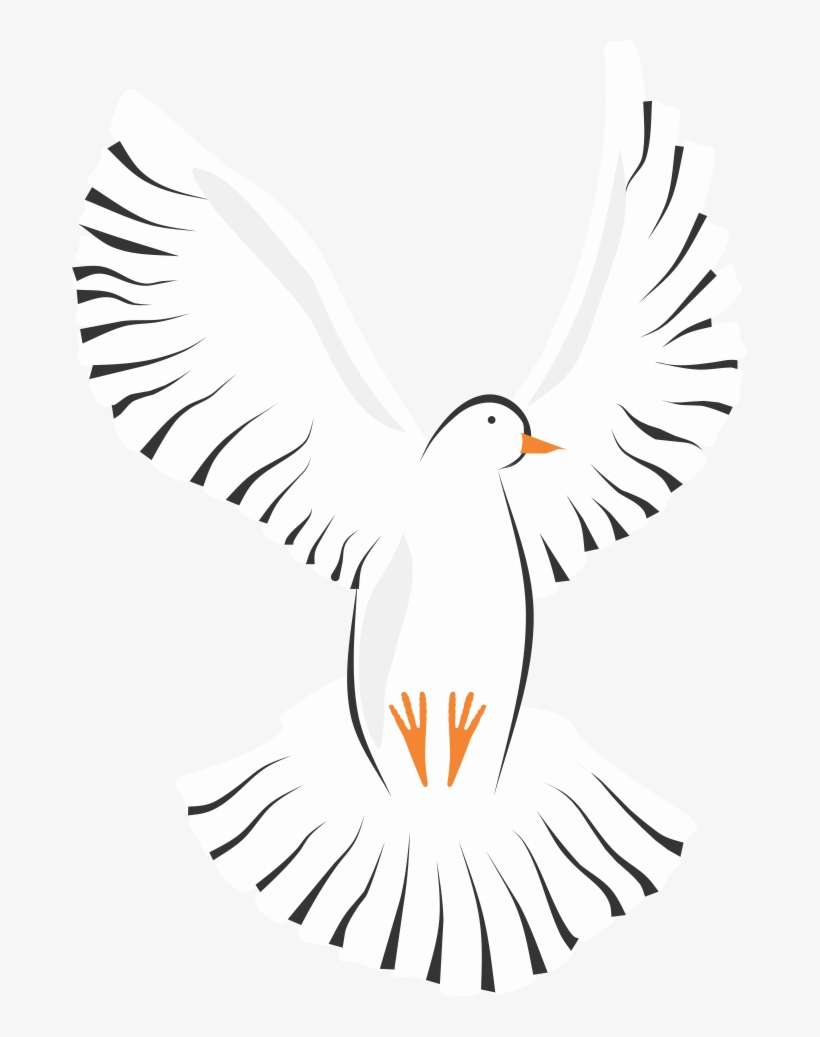 Vetores - Pomba Png PNG Image | Transparent PNG Free Download on SeekPNG