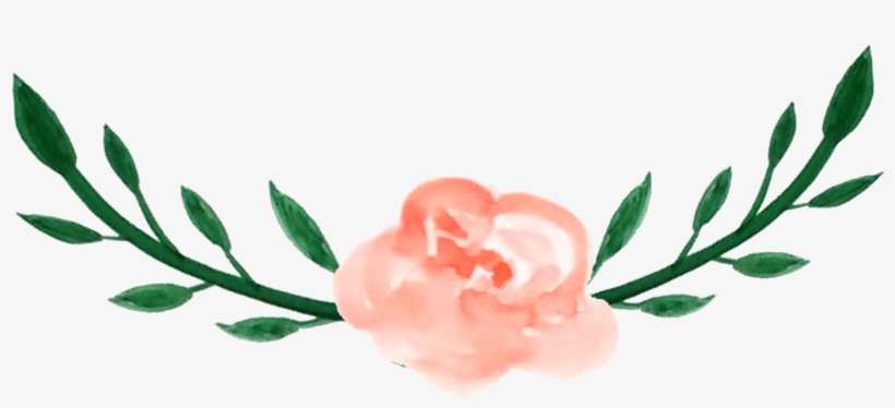 Divider536565 - Aesthetic Divider Transparent PNG Image | Transparent ...