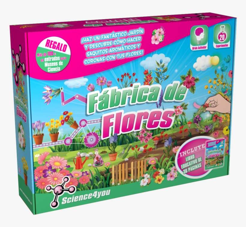 Science 4 You Human PNG Image | Transparent PNG Free Download on SeekPNG