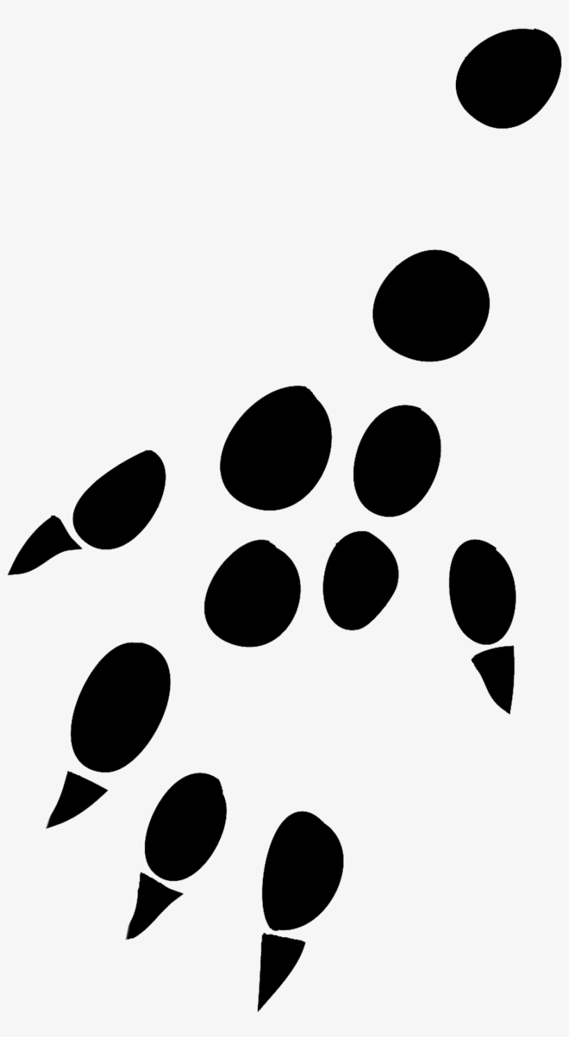 Pin By Xomissjewel On Hedgehog - Mouse Footprint PNG Image ...