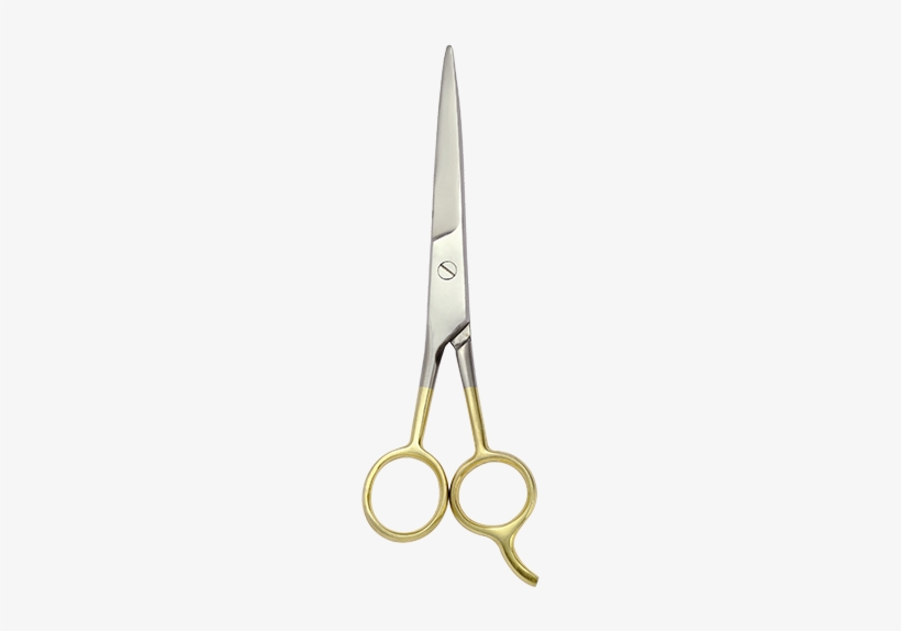 Scissors PNG Image | Transparent PNG Free Download on SeekPNG