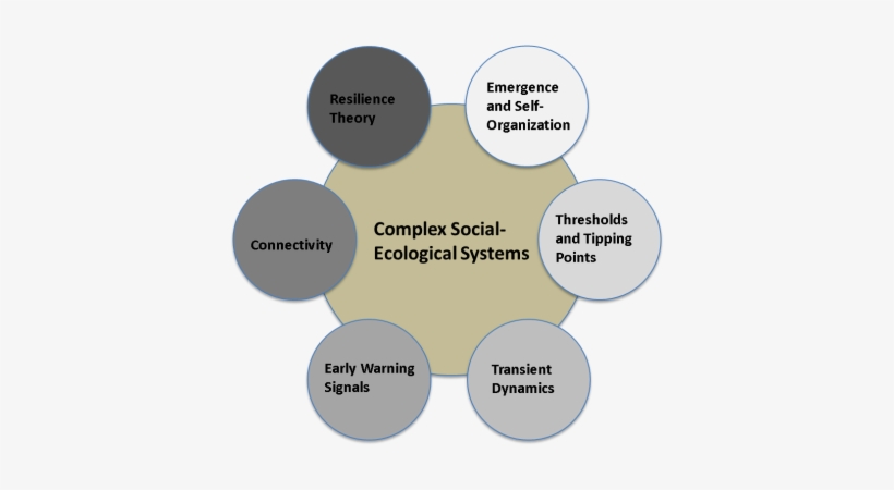 Complexity Theory - Complexity Theory Of Organization PNG Image ...