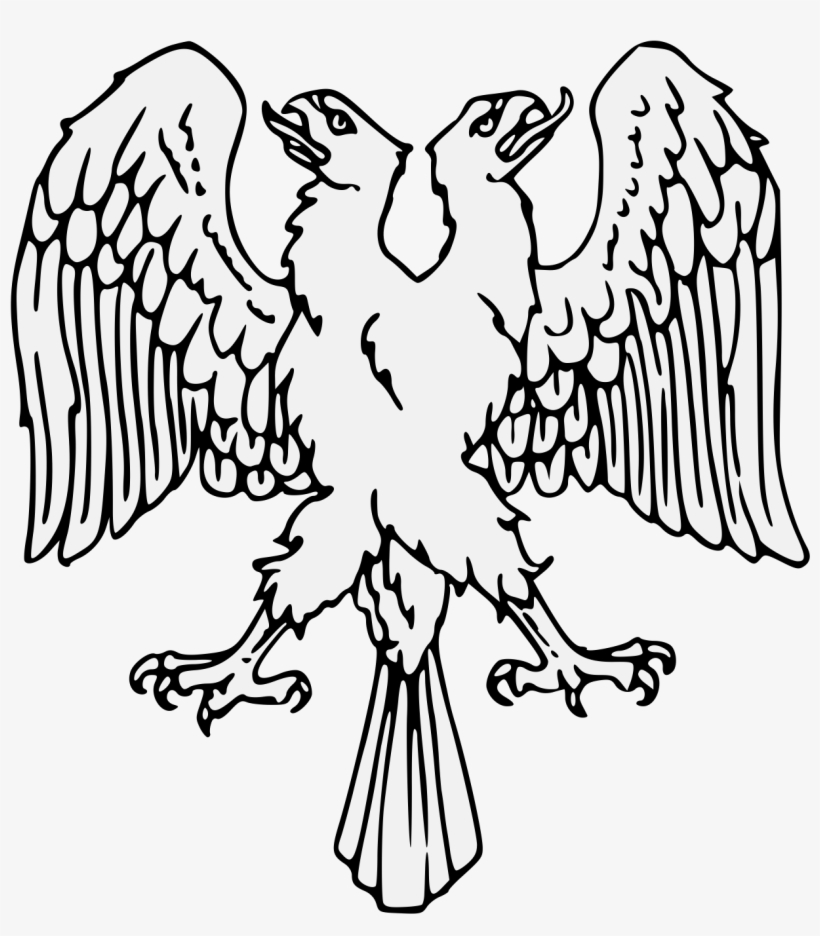 Details, Png - Beak PNG Image | Transparent PNG Free Download on SeekPNG