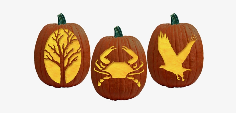 Choose Your Favorite Free Nature Pumpkin Carving - Pumpkin Carving ...