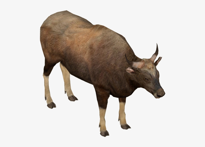 Gaur Adult F1 - Wiki PNG Image | Transparent PNG Free Download on SeekPNG