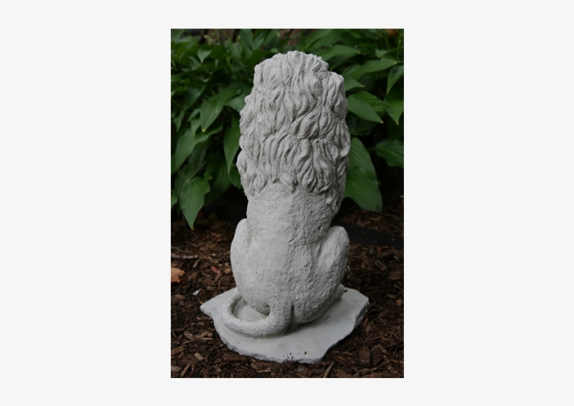 Lion Sitting From Back PNG Image | Transparent PNG Free Download on SeekPNG