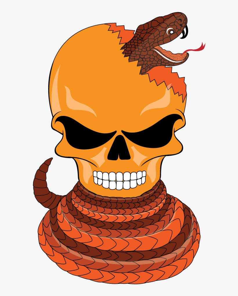 Psd - Snakes PNG Image | Transparent PNG Free Download on SeekPNG