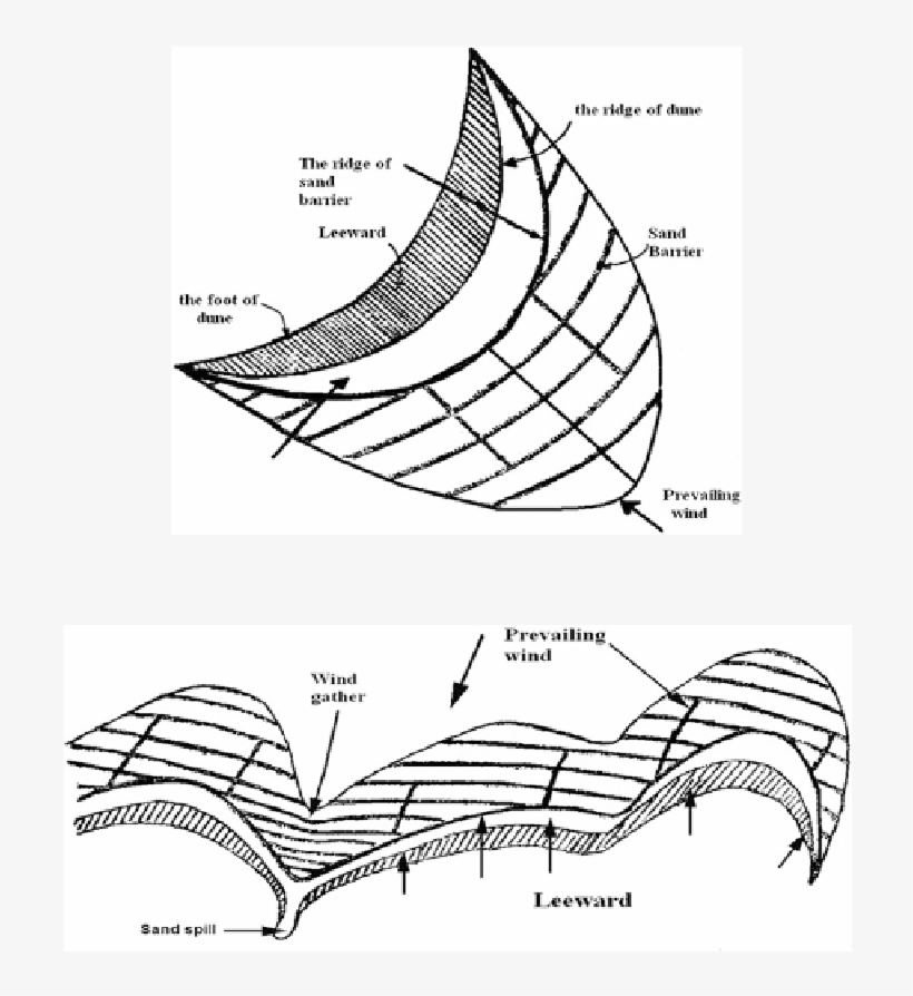Controlling Sand Movement Through Mechanical Measures - Plot PNG Image ...