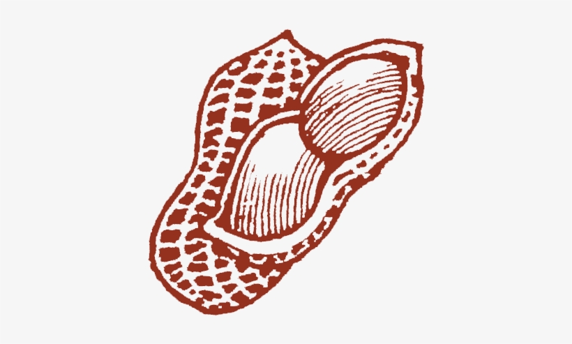 Floating Peanut Red PNG Image | Transparent PNG Free Download on SeekPNG