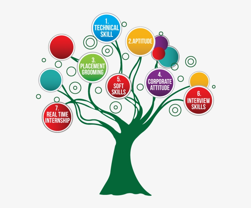 Soft Skills PNG Image | Transparent PNG Free Download on SeekPNG