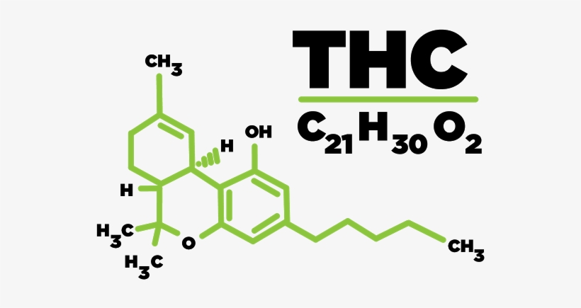 Shorter acting THC/edibles : r/treedibles
