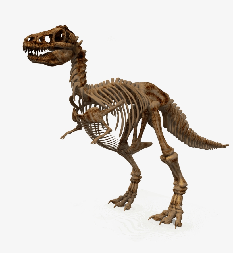 Free Png Dinosaur Png Images Transparent - Dinosaur Png PNG Image ...